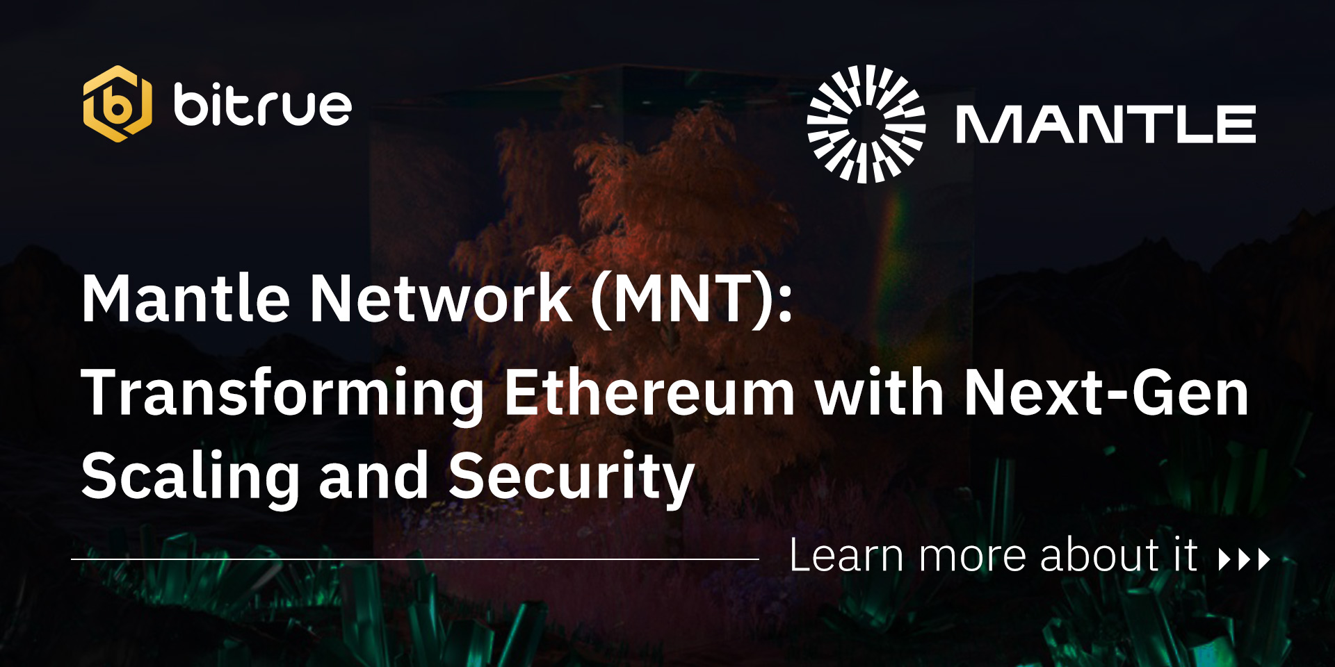 Mantle Network (MNT): Transforming Ethereum with Next-Gen Scaling and Security – Bitrue FAQ