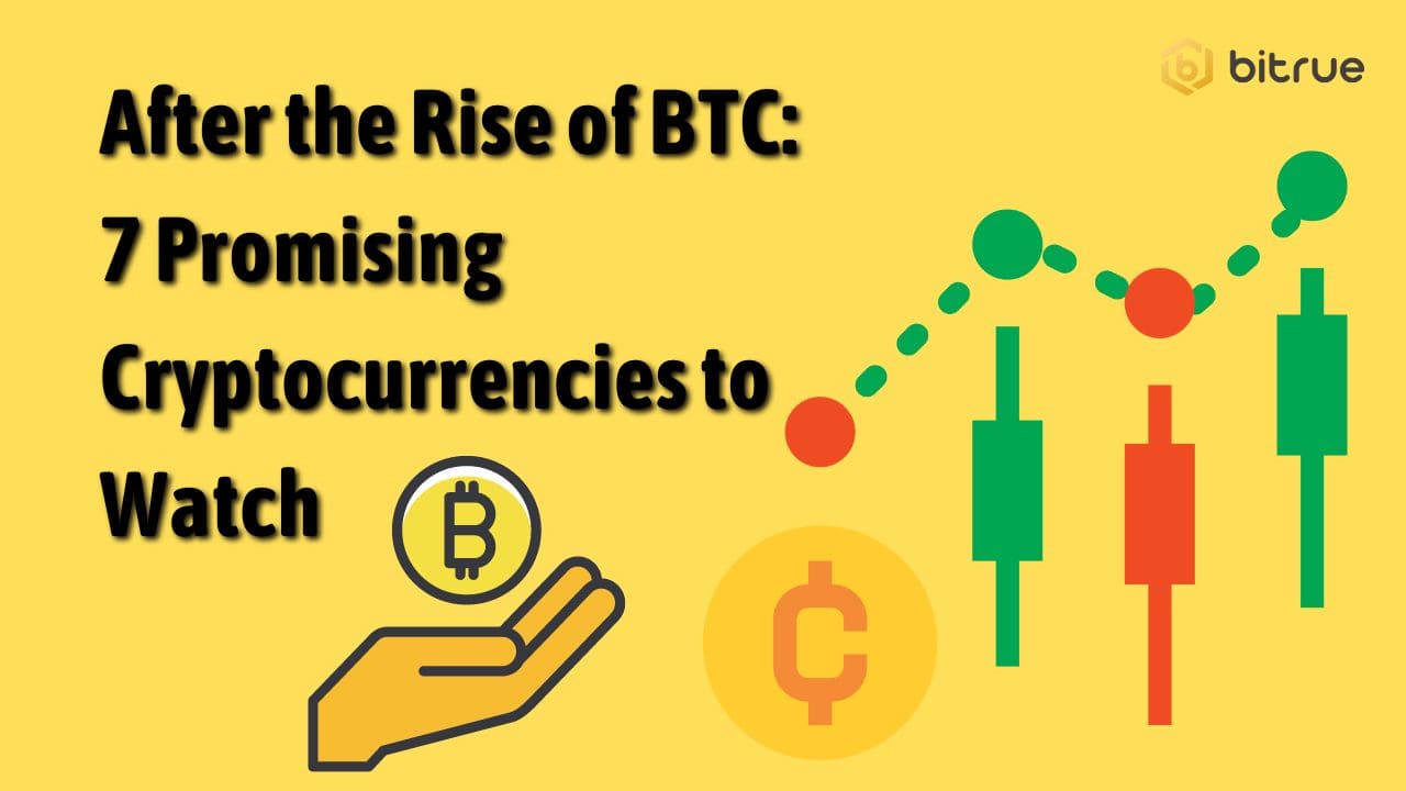 After the Rise of BTC: 7 Promising Cryptocurrencies to Watch – Bitrue FAQ