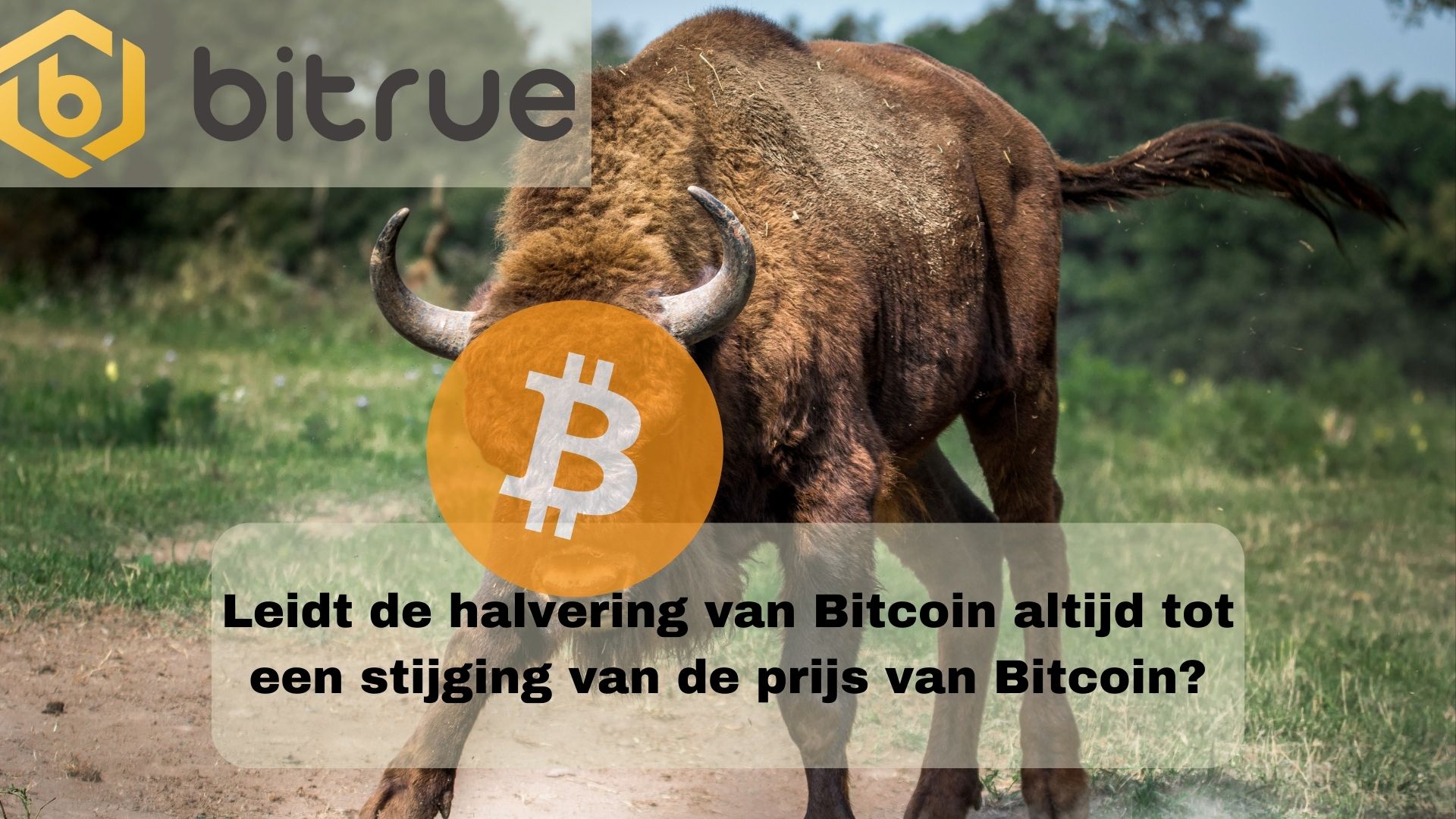 Leidt Bitcoin Halving Altijd tot een Stijging van de Bitcoin Prijs ... Leidt Bitcoin Halving Altijd tot een Stijging van de Bitcoin Prijs ...