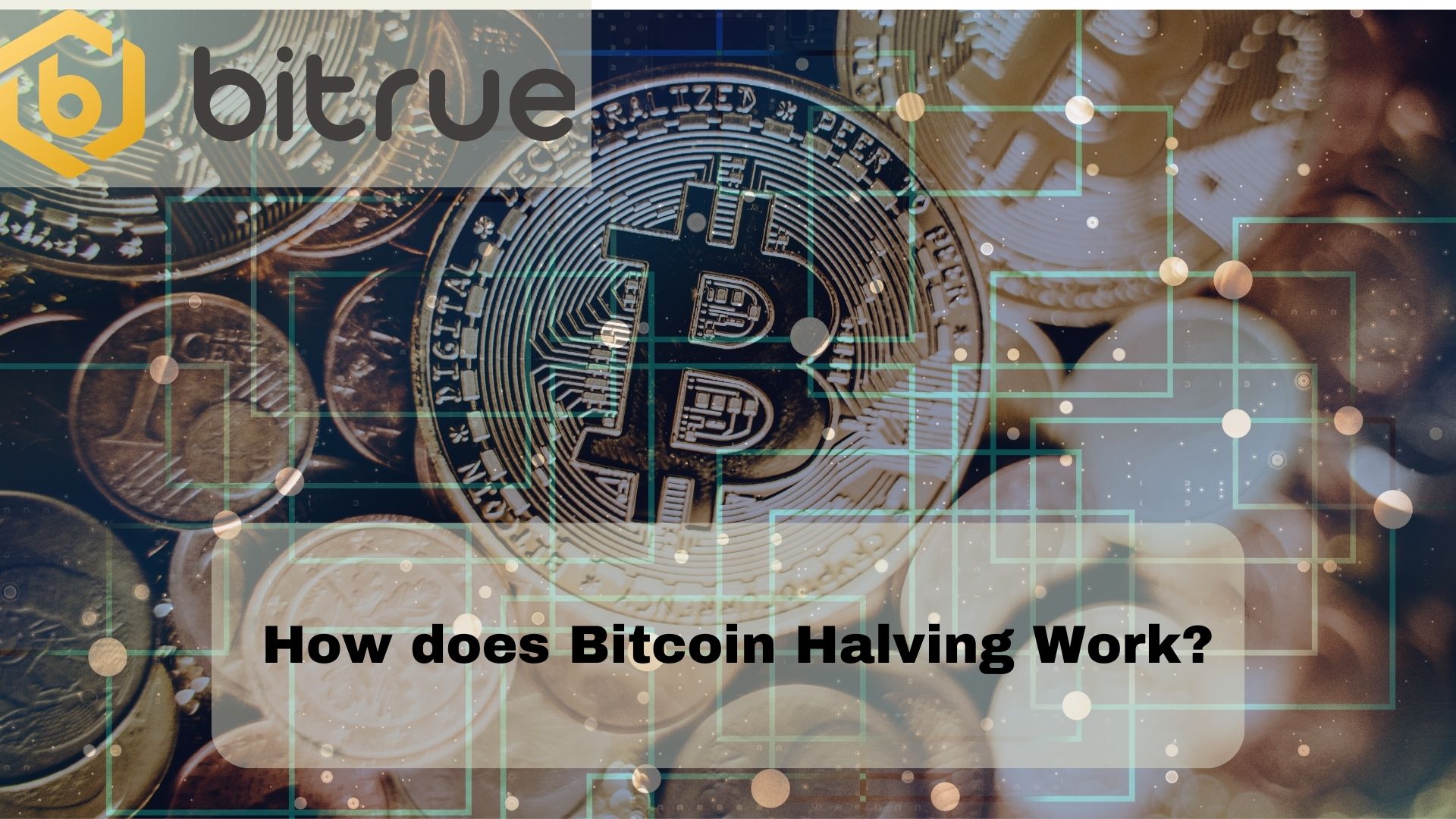 How does Bitcoin Halving Work? – Bitrue FAQ