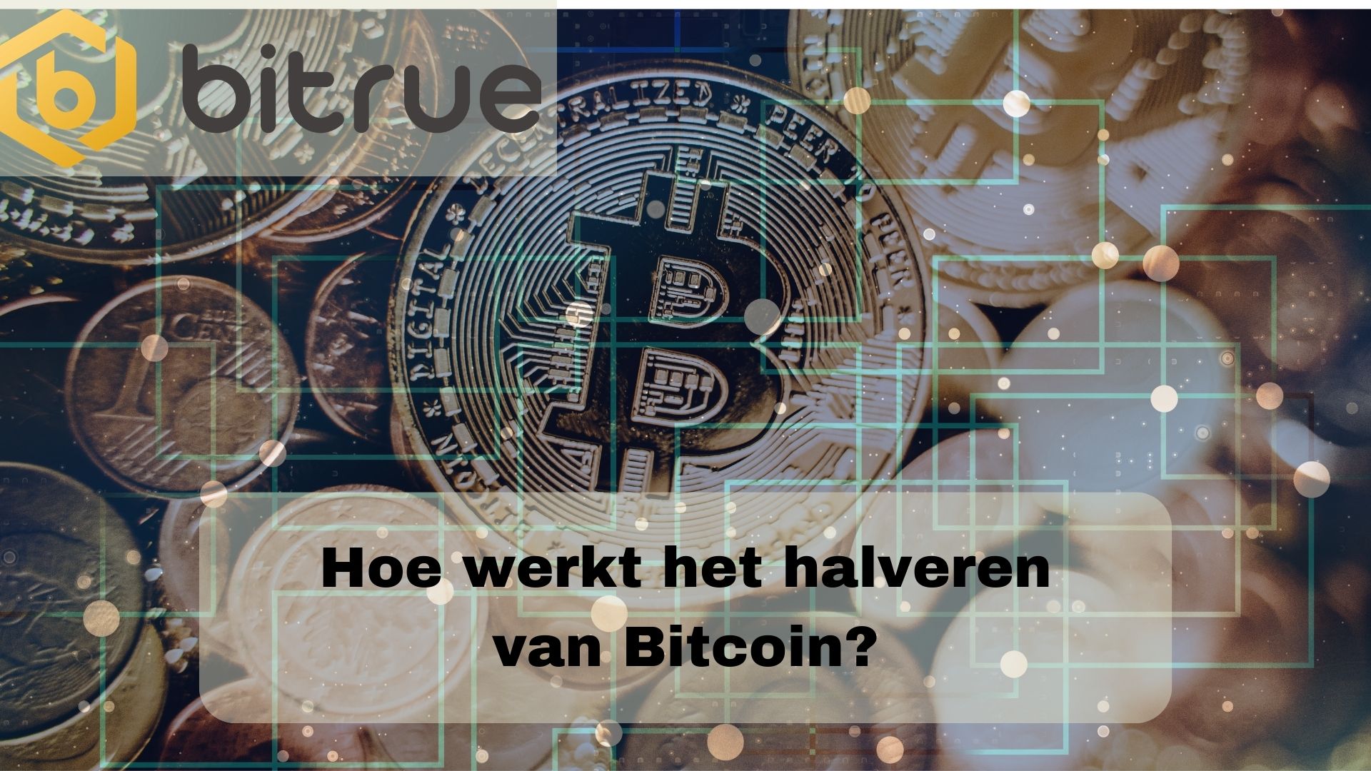 Hoe werkt Bitcoin Halving? – Bitrue FAQ