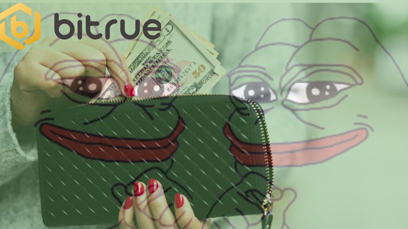 How to Buy PEPE with a Decentralized and Centralized Wallet – Bitrue FAQ