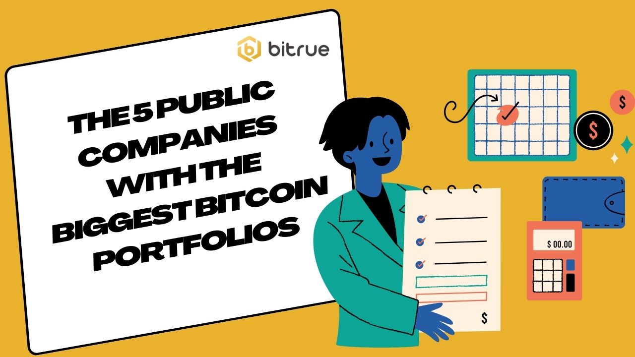The 5 Public Companies With the Biggest Bitcoin Portfolios – Bitrue FAQ