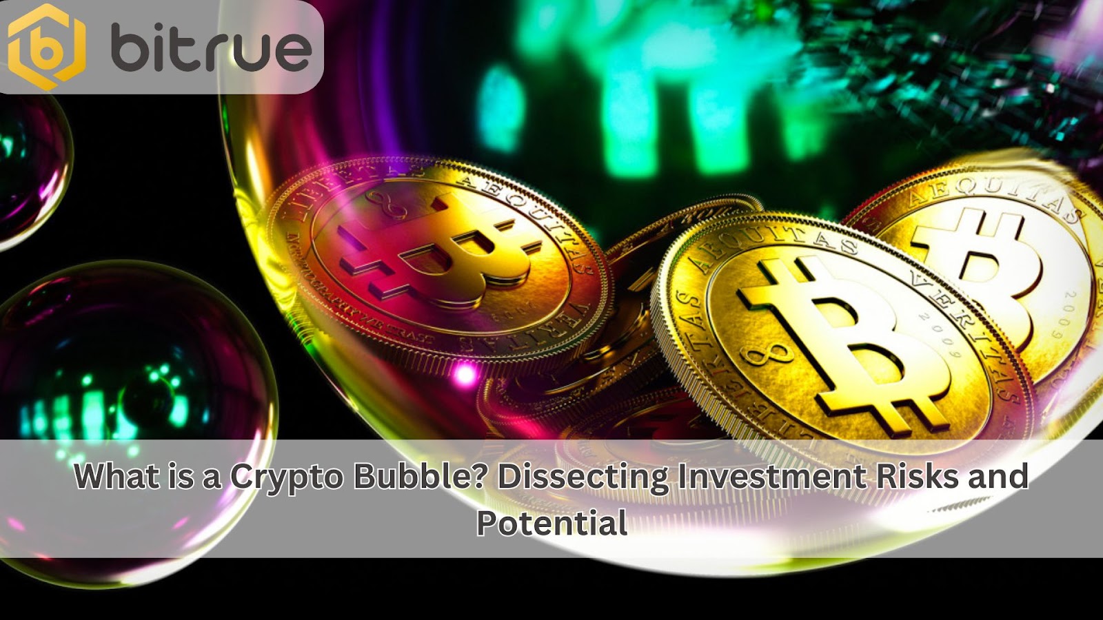 What is a Crypto Bubble? Dissecting Investment Risks and Potential ...