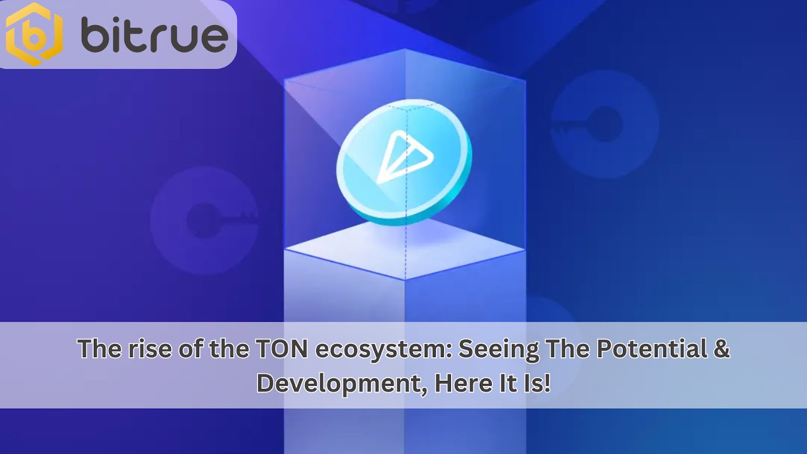 The Rise of the TON Ecosystem: Seeing The Potential & Development, Here ...