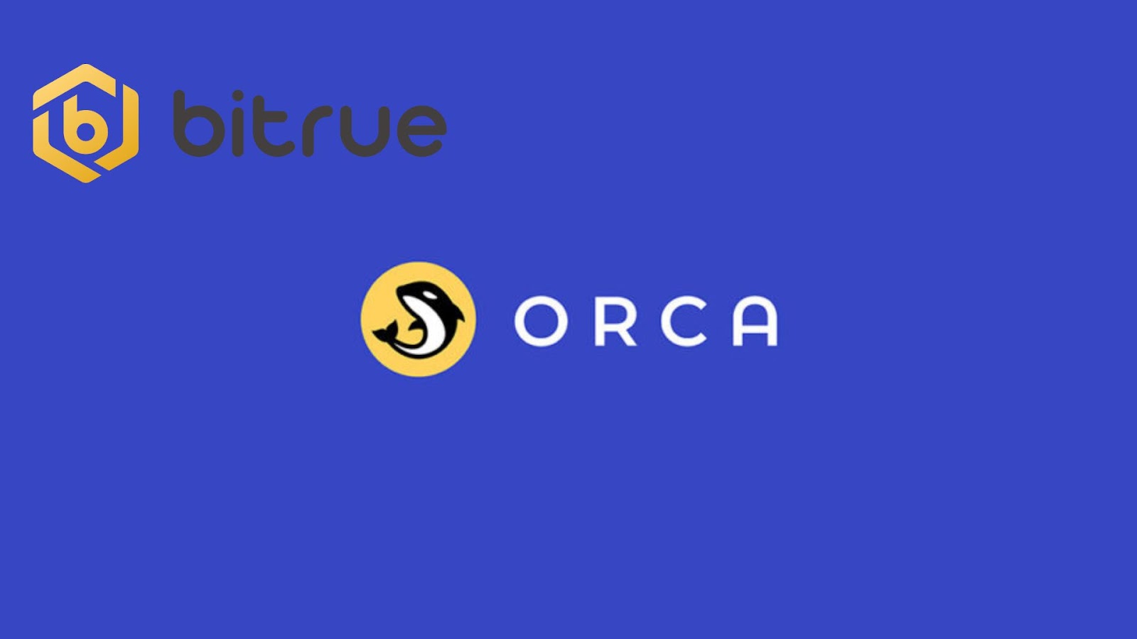 Potential of Orca Crypto: A Deep Dive into the Next-Gen Financial ...