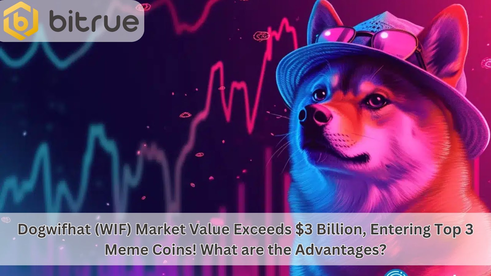 Dogwifhat (WIF) Market Value Exceeds $3 Billion, Entering Top 3 Meme ...