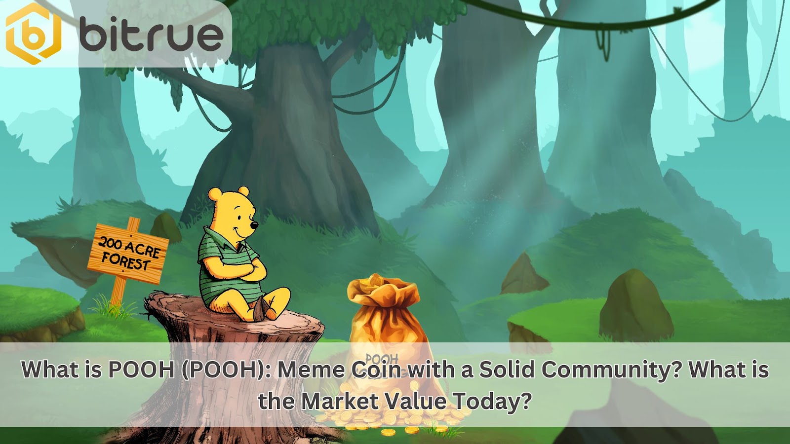 What is POOH (POOH): Meme Coin with a Solid Community? What is the ...