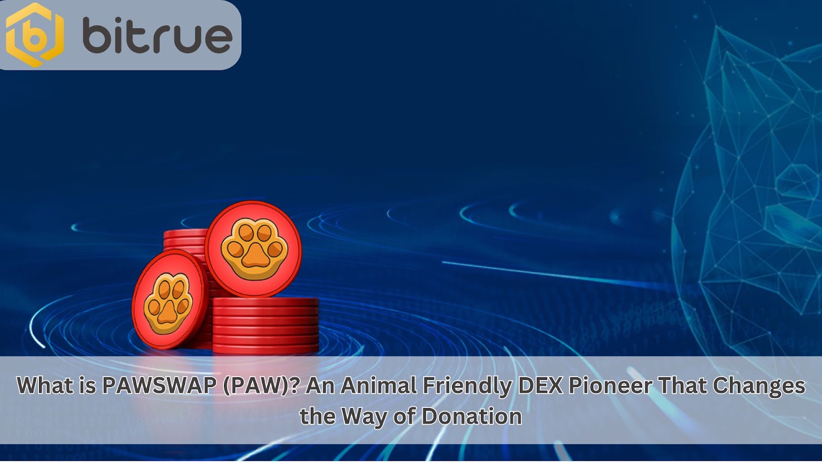 Wat is PAWSWAP (PAW)? Een Diervriendelijke DEX Pionier Die de Manier ...