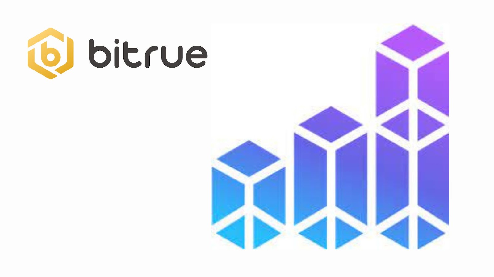 The Excitement of Ether.Fan: A Gateway to the Ethereum Universe ...