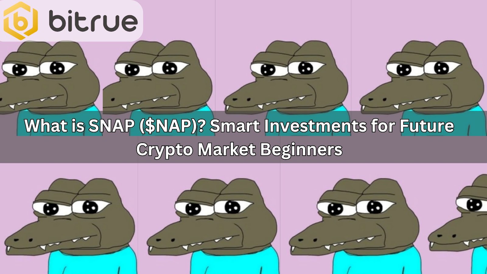 SNAP ($NAP) 이란 무엇인가요? 미래의 암호화폐 시장 초보자를 위한 현명한 투자 – Bitrue FAQ