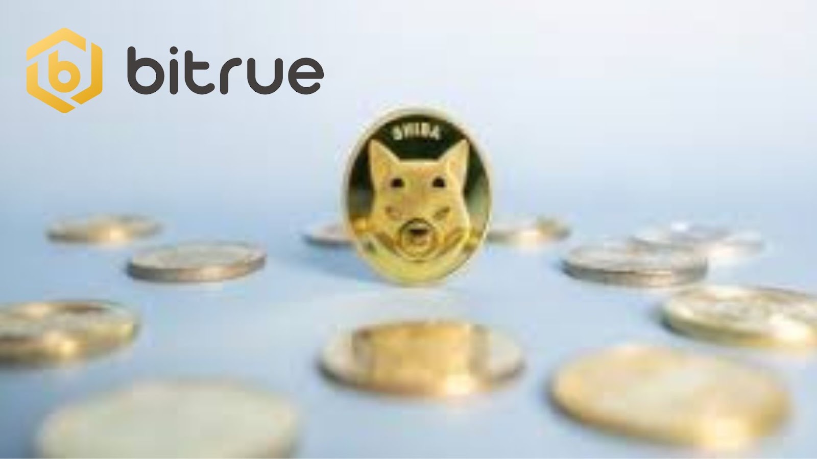 MEME's Breakthrough: Just the Beginning of Value Narratives' Return to ...