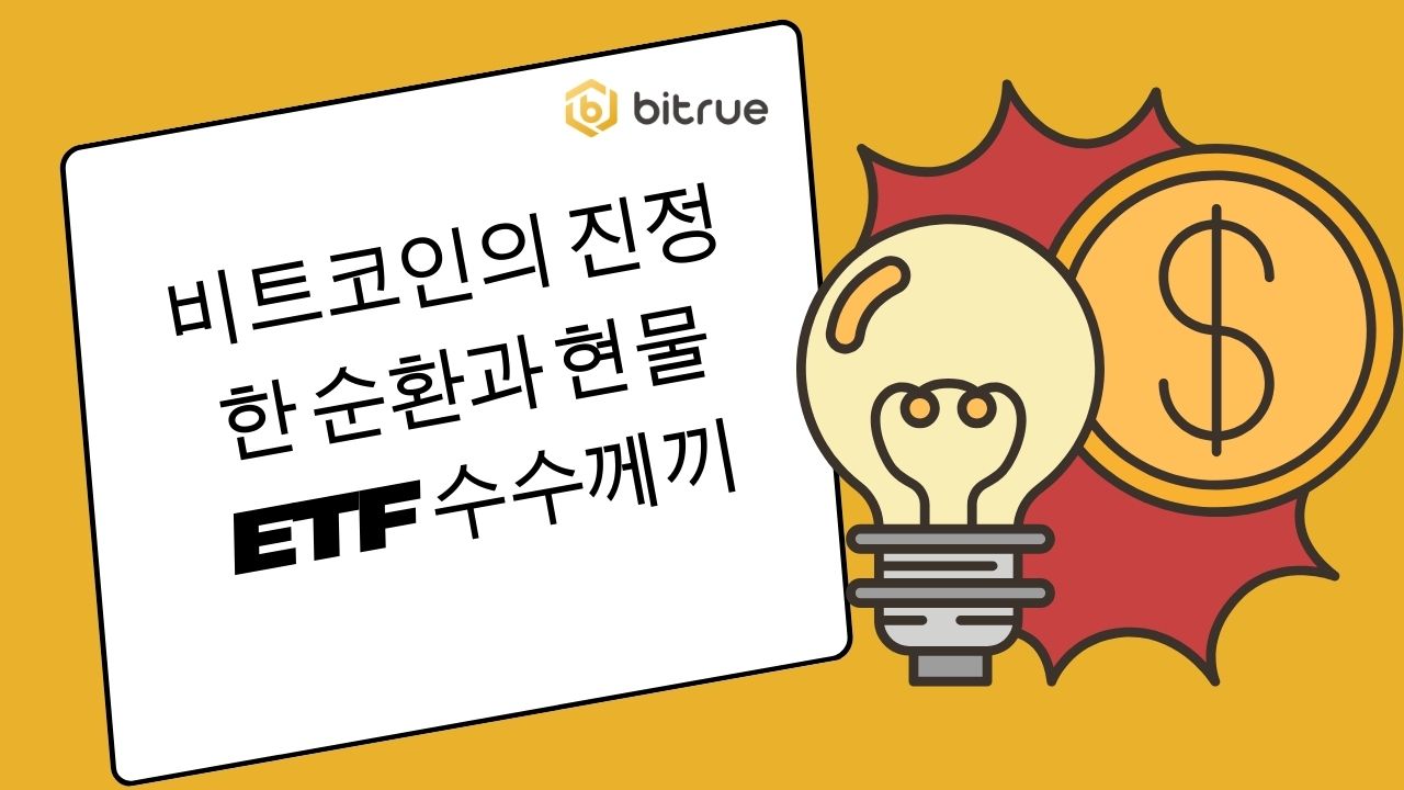비트코인의 진정한 순환과 현물 ETF 수수께끼 – Bitrue FAQ