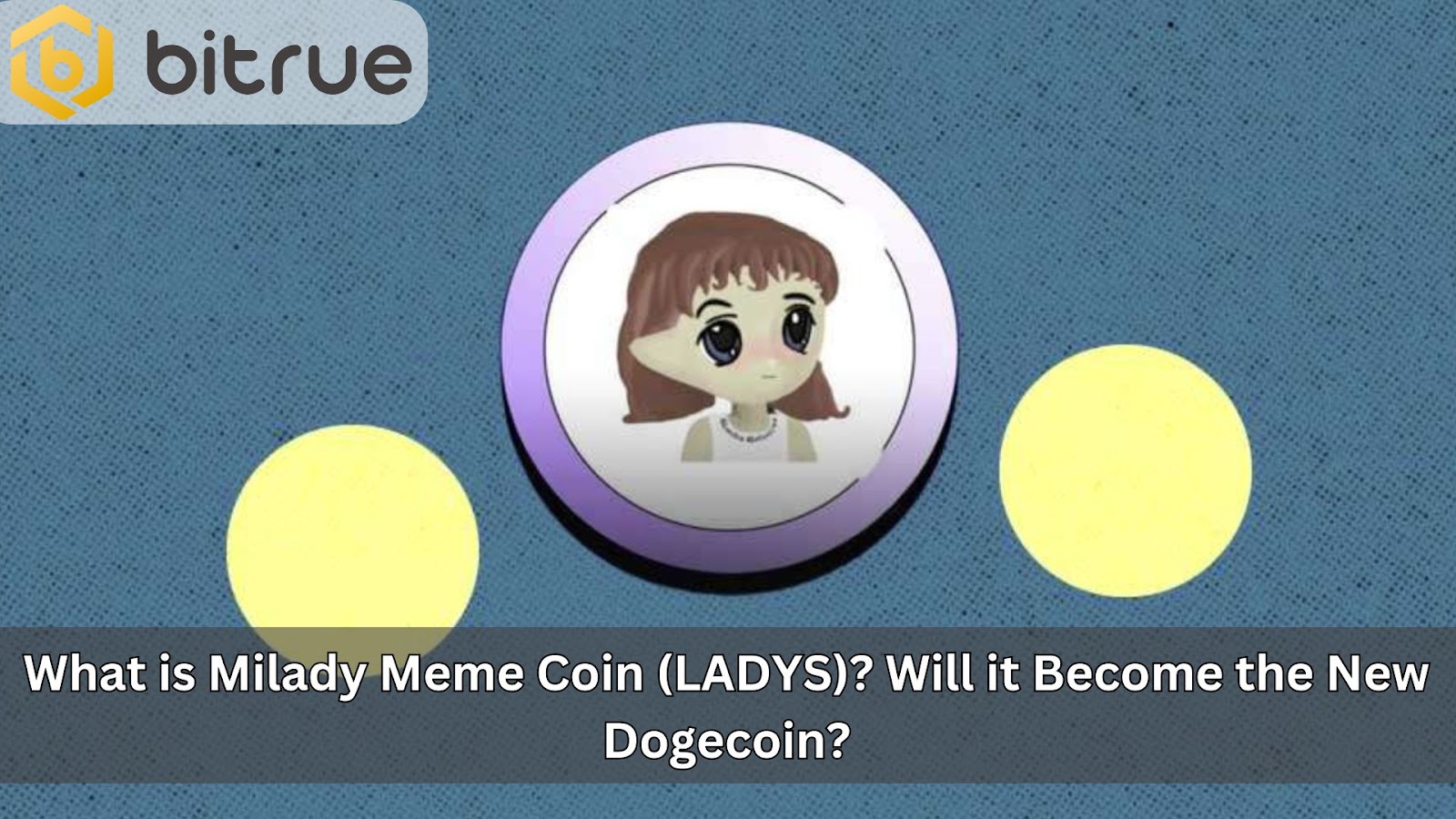 What is Milady Meme Coin (LADYS)? Will it Become the New Dogecoin ...