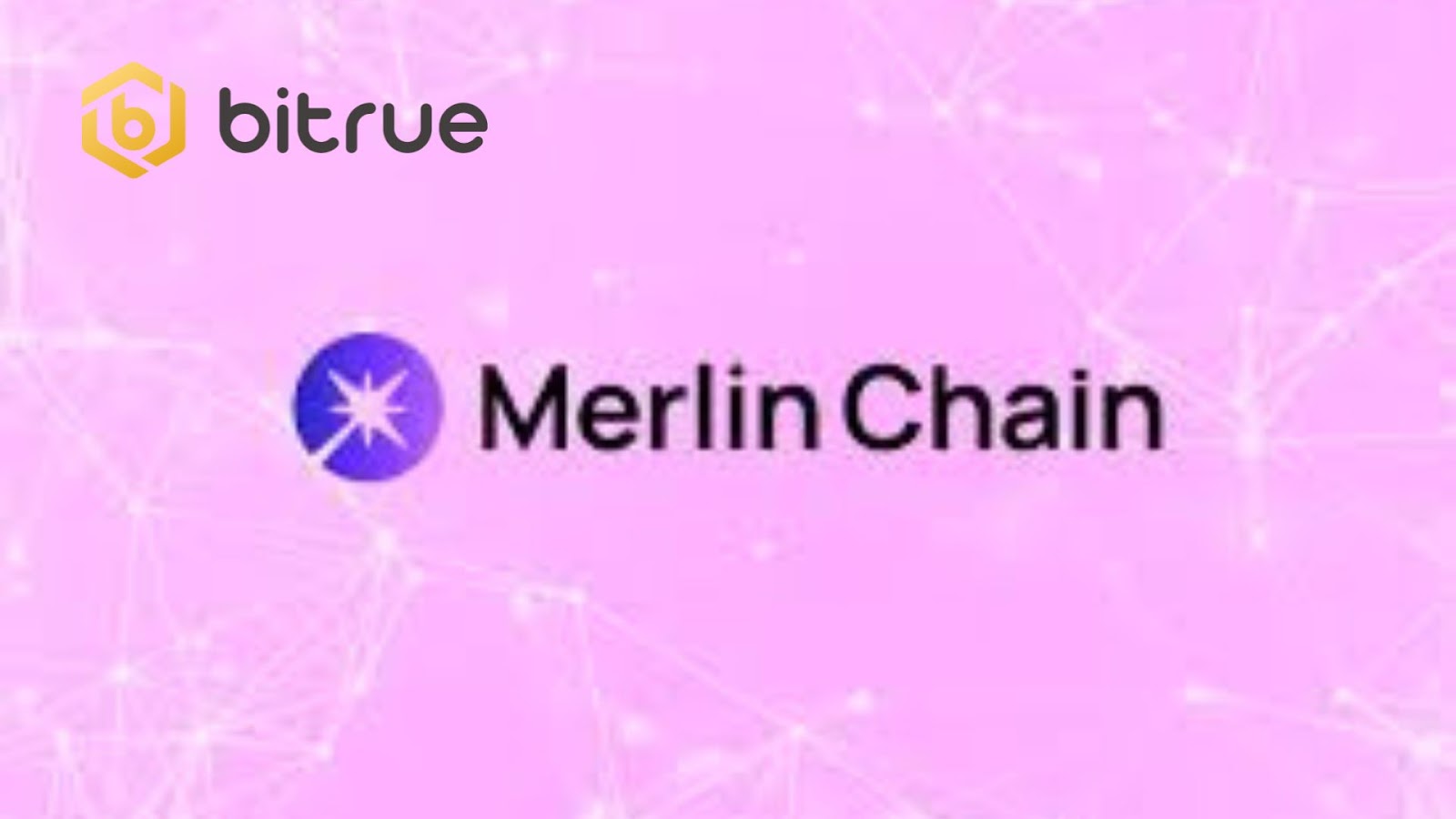 Merlin Chain's Five Flagship Projects: A Comprehensive Overview ...