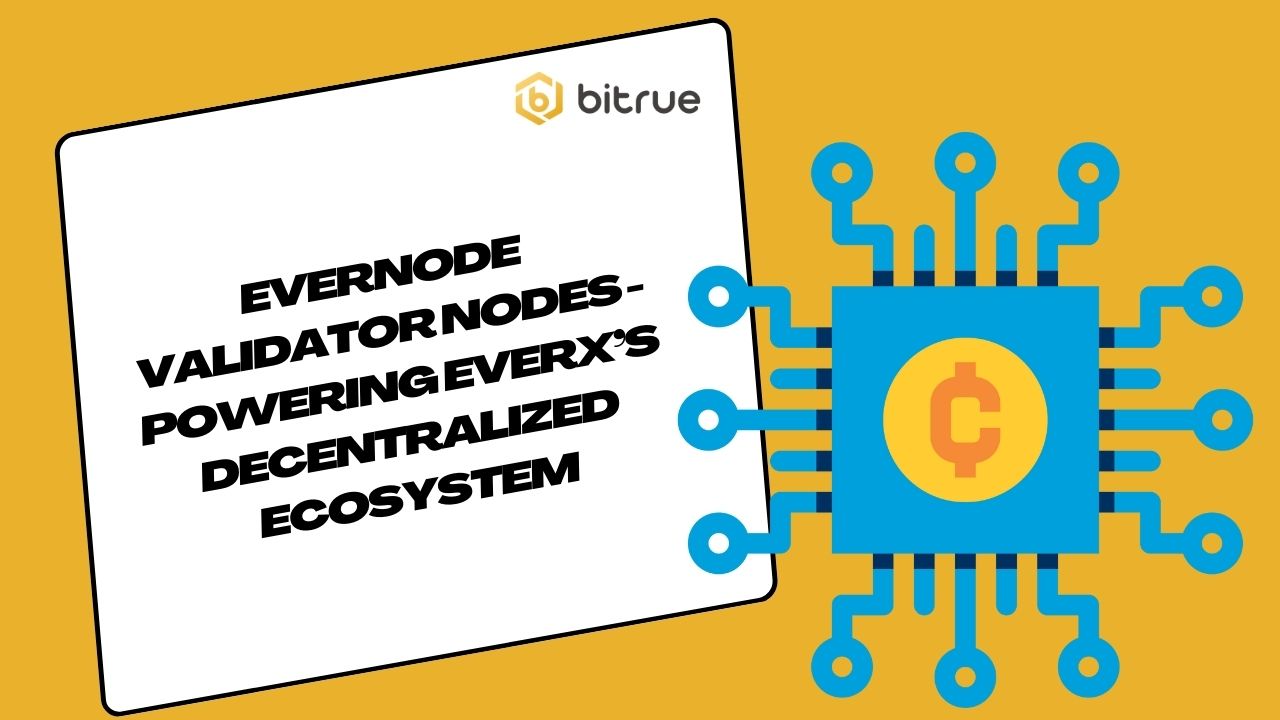 Evernode Validator Nodes - Powering EverX’s Decentralized Ecosystem ...