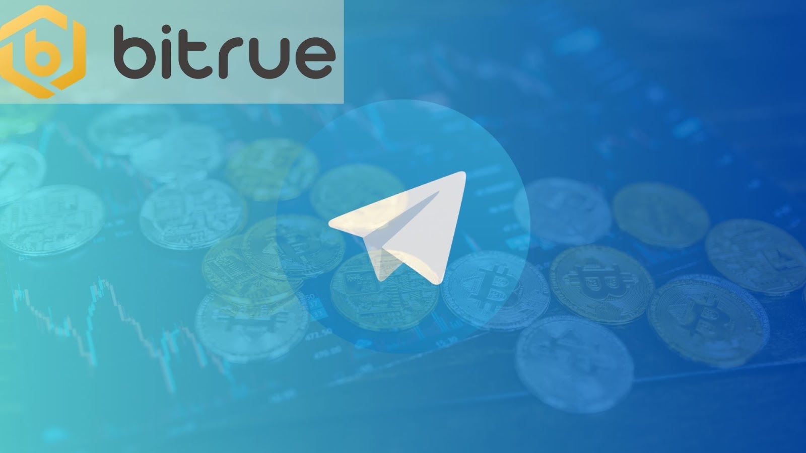 Looking at the Growing Telegram Web3 Ecosystem: The TON and LIME Token – Bitrue FAQ