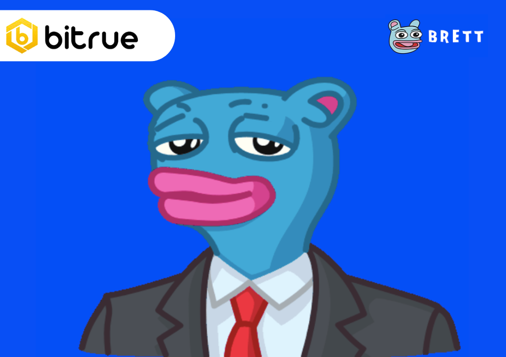 $BMONEY: A Meme Coin with a Story and Future Potential – Bitrue FAQ