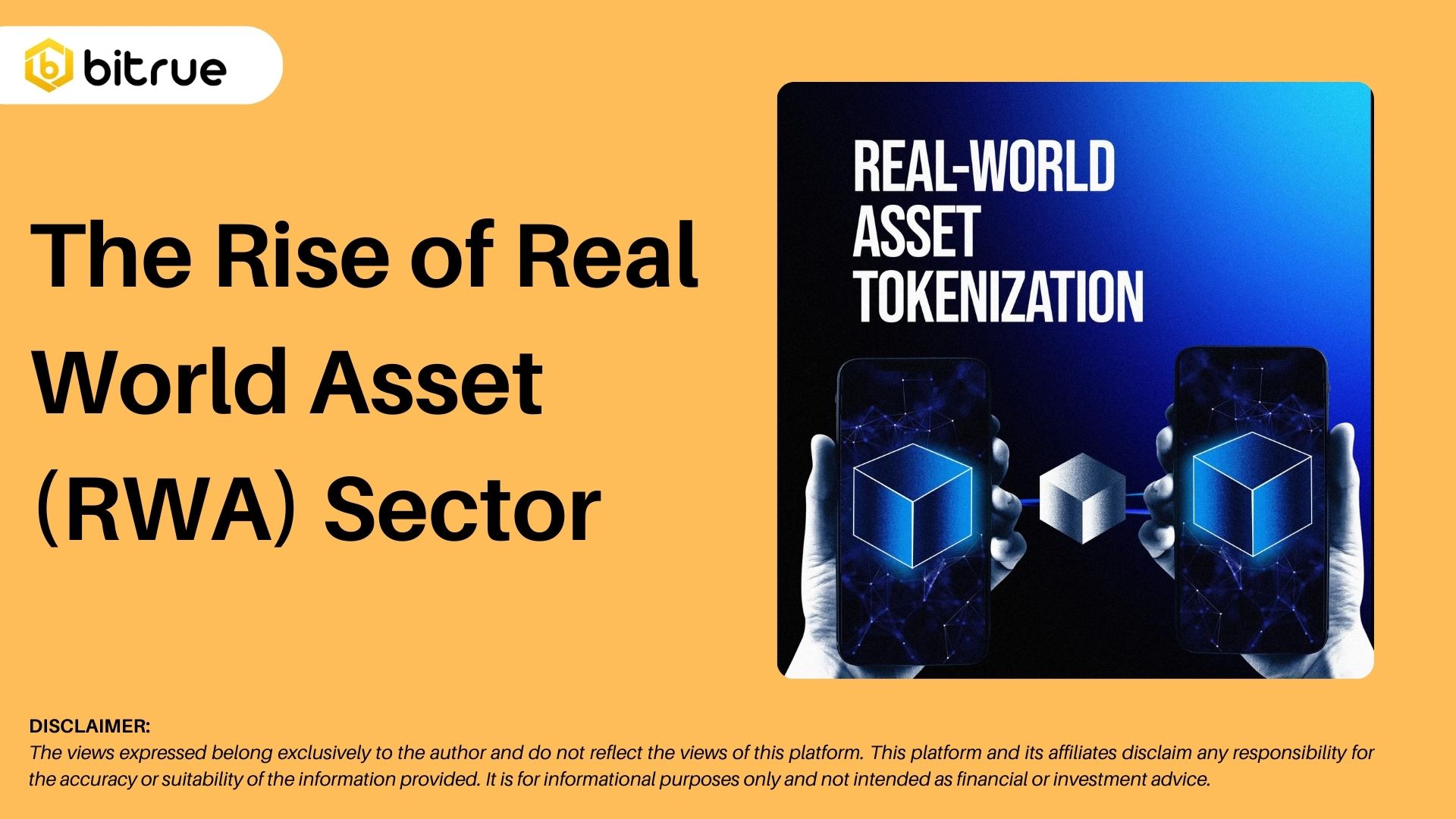 The Rise of Real World Asset (RWA) Sector – Bitrue FAQ