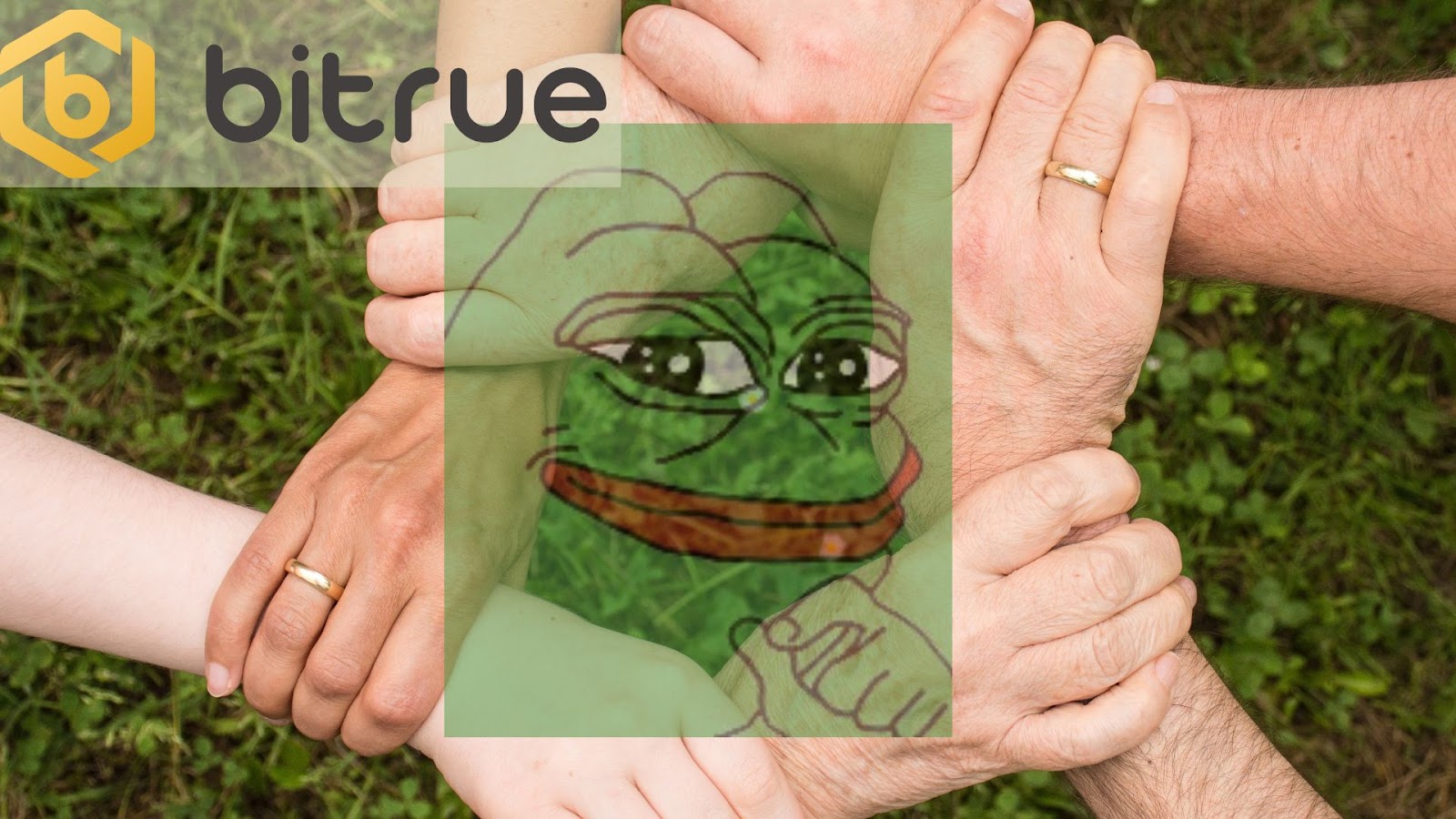 PEPE’s Community Going Strong! Reaching Milestones by The Week – Bitrue FAQ