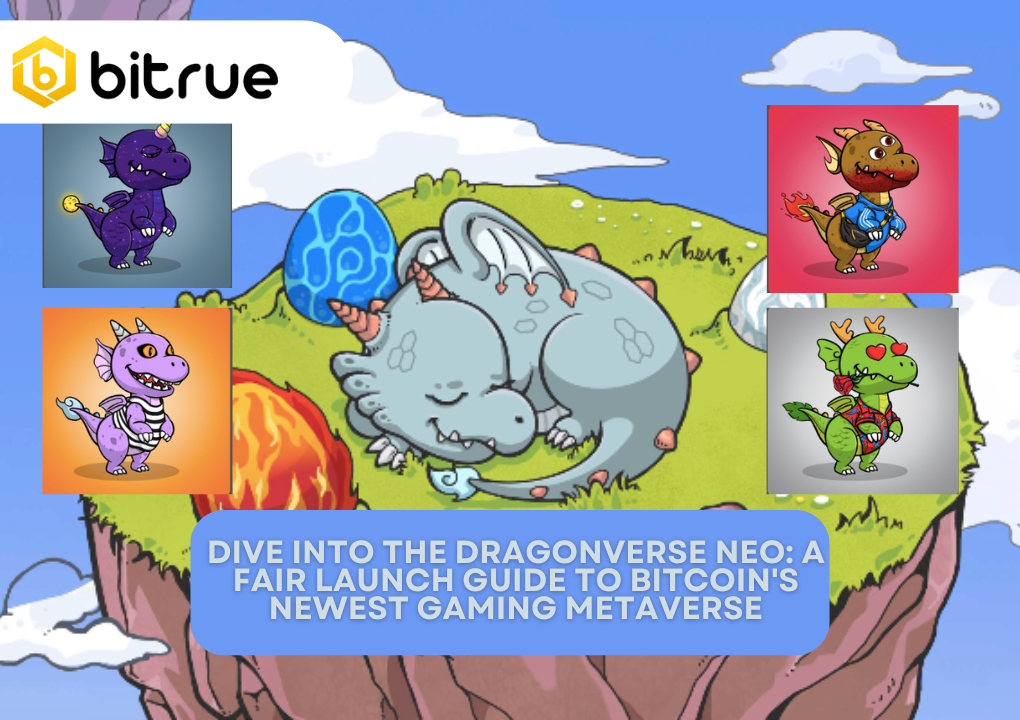 Dive into the Dragonverse Neo: A Fair Launch Guide to Bitcoin's Newest ...