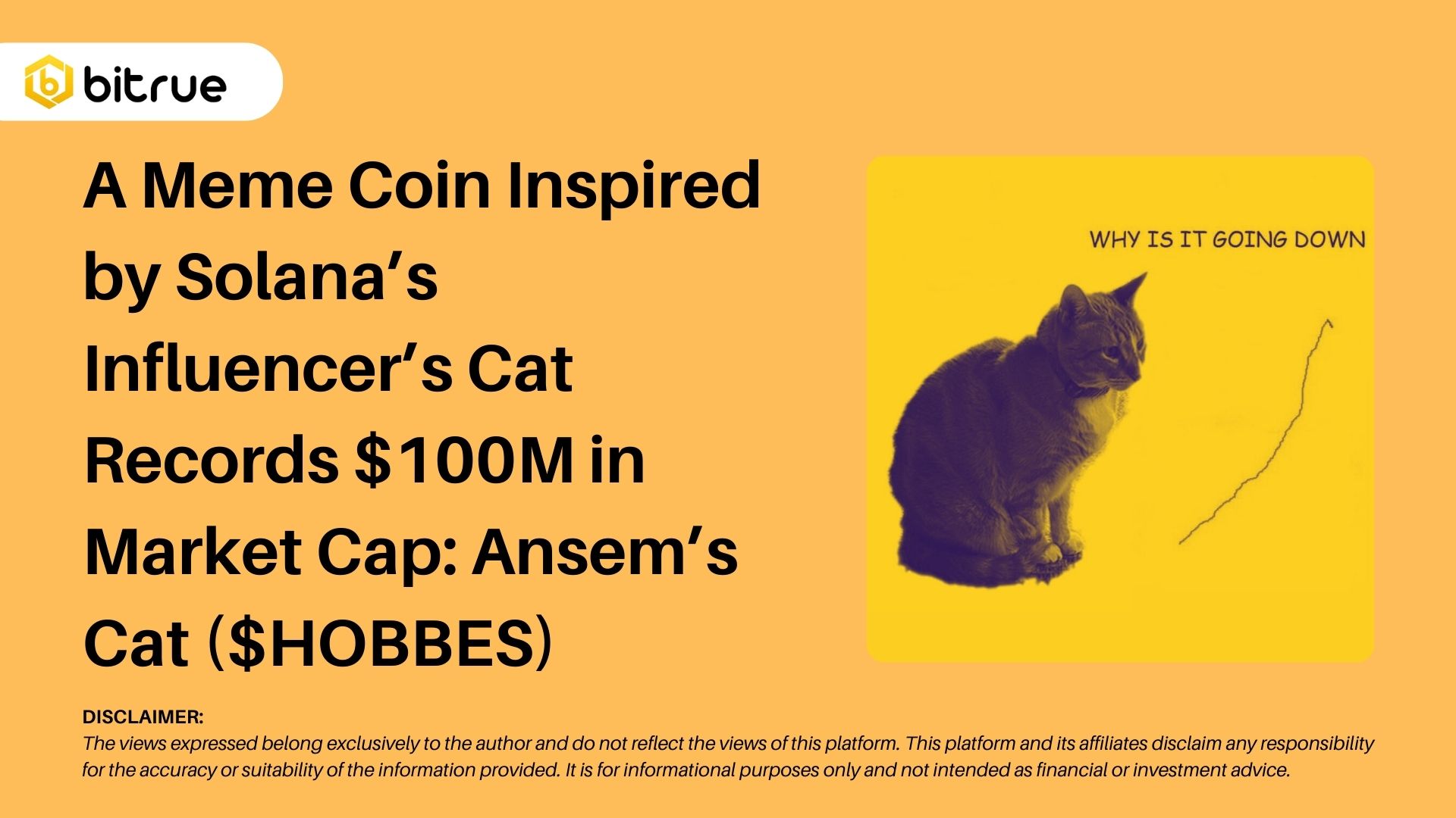 A Meme Coin Inspired by Solana’s Influencer’s Cat Records $100M in ...