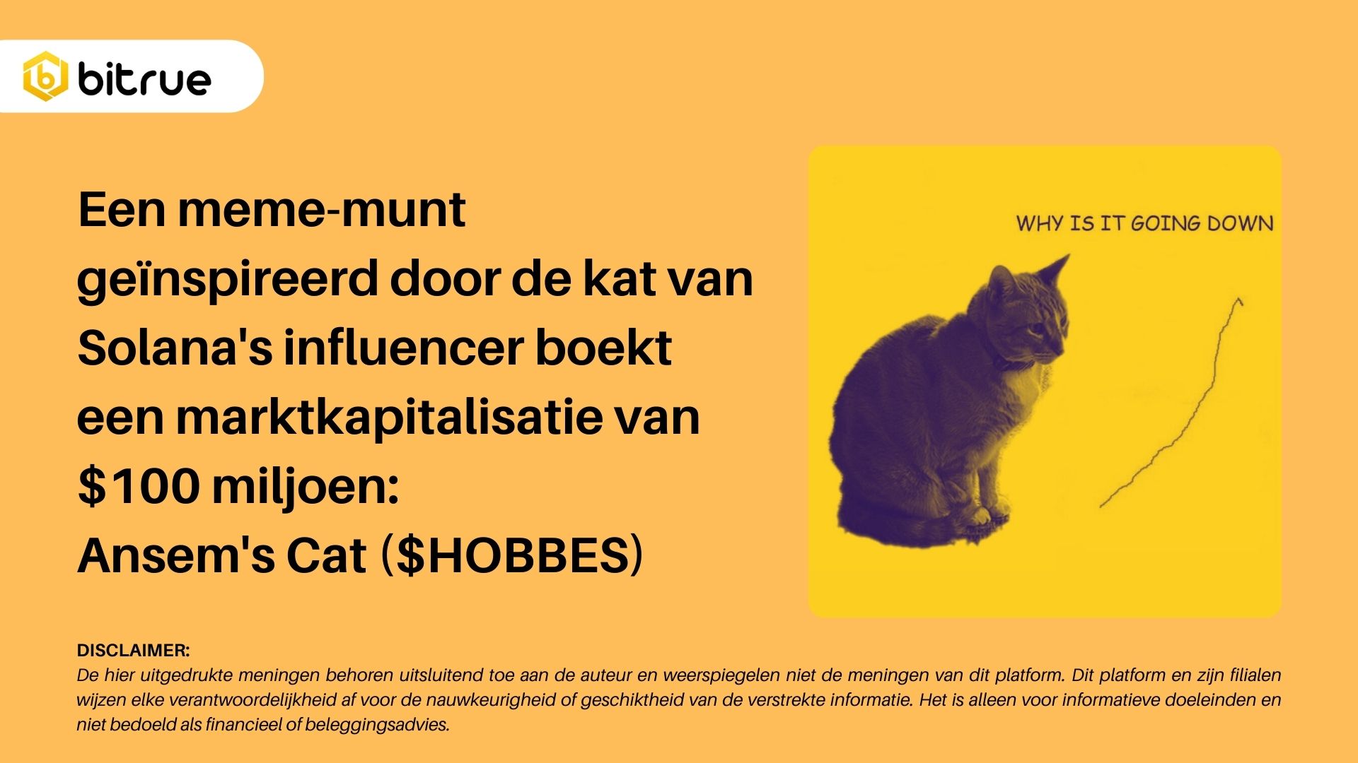 Een meme-munt geïnspireerd door de kat van Solana's influencer boekt ...