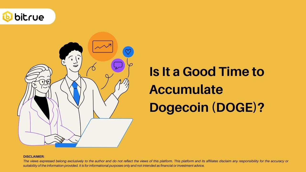 Is Now a Good Time to Accumulate Dogecoin (DOGE)? – Bitrue FAQ