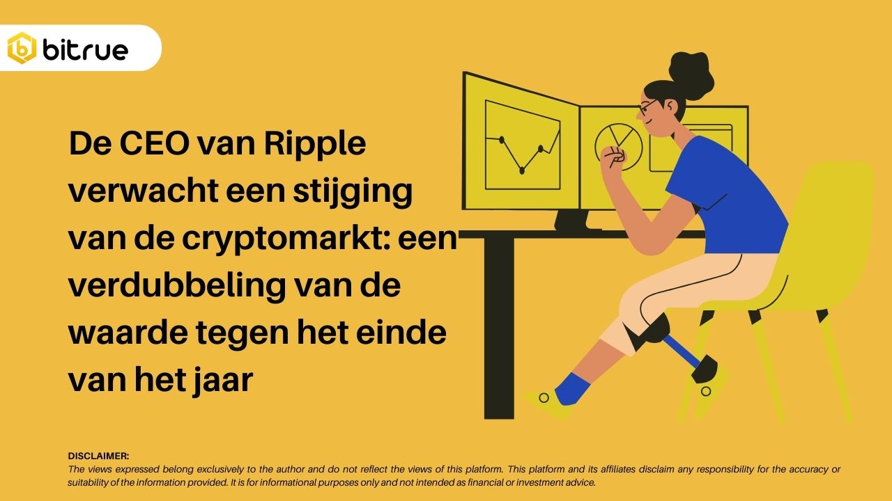 De CEO van Ripple verwacht een stijging van de cryptomarkt: een verdubbeling van de waarde tegen ...