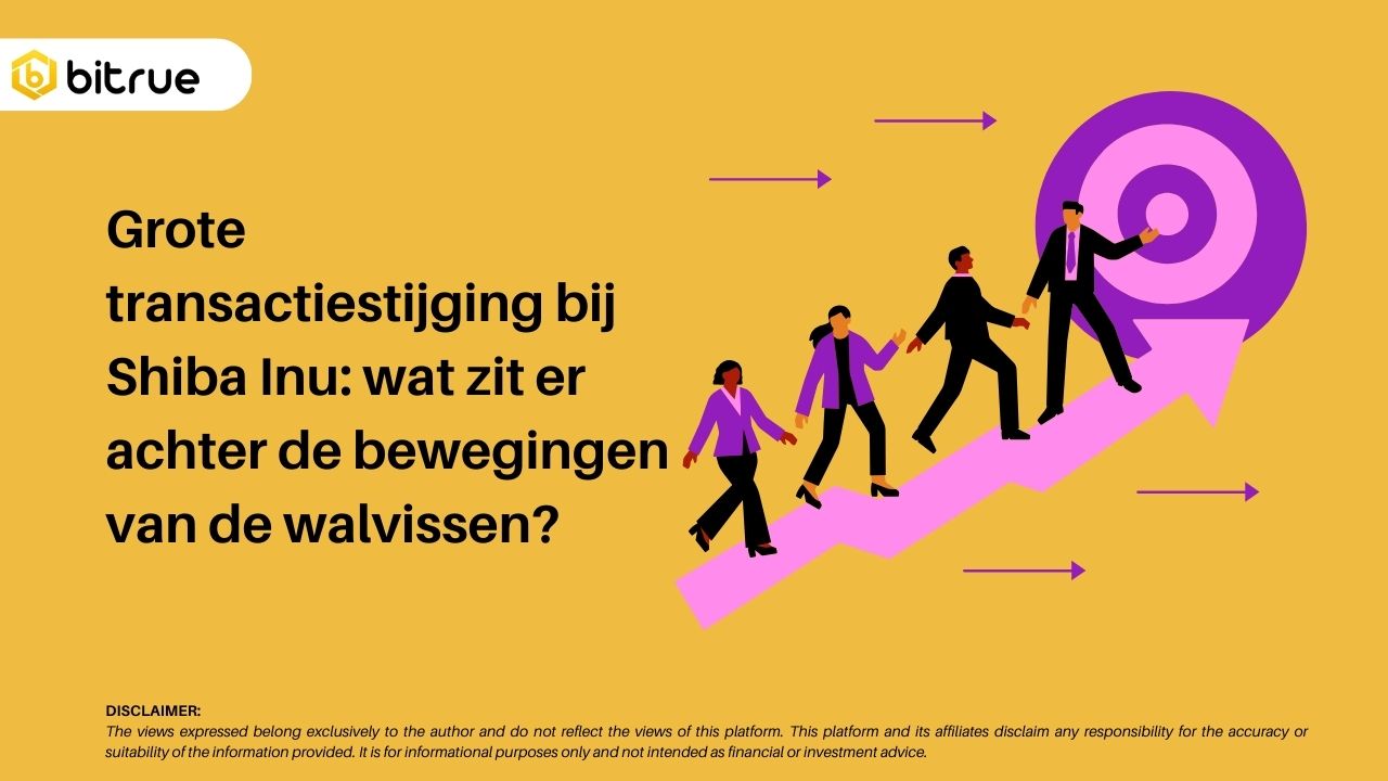 Grote transactiestijging bij Shiba Inu: wat zit er achter de bewegingen ...