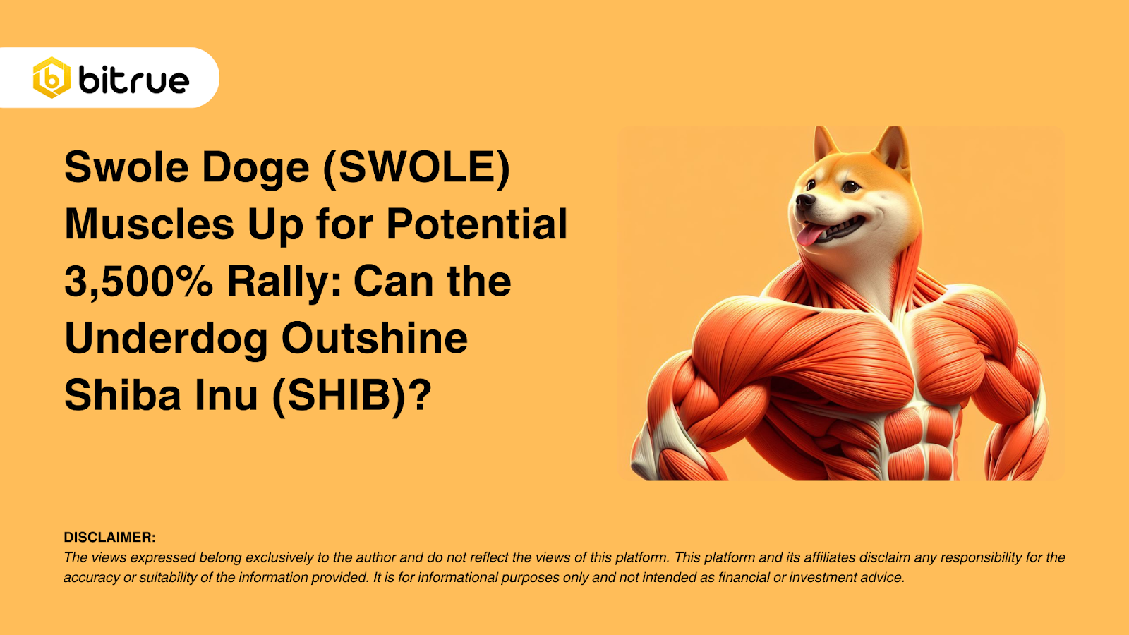 Swole Doge (SWOLE)이 잠재적으로 3,500%의 상승을 위해 근육을 강화하고 있습니다: 이 언더독이 Shiba ...