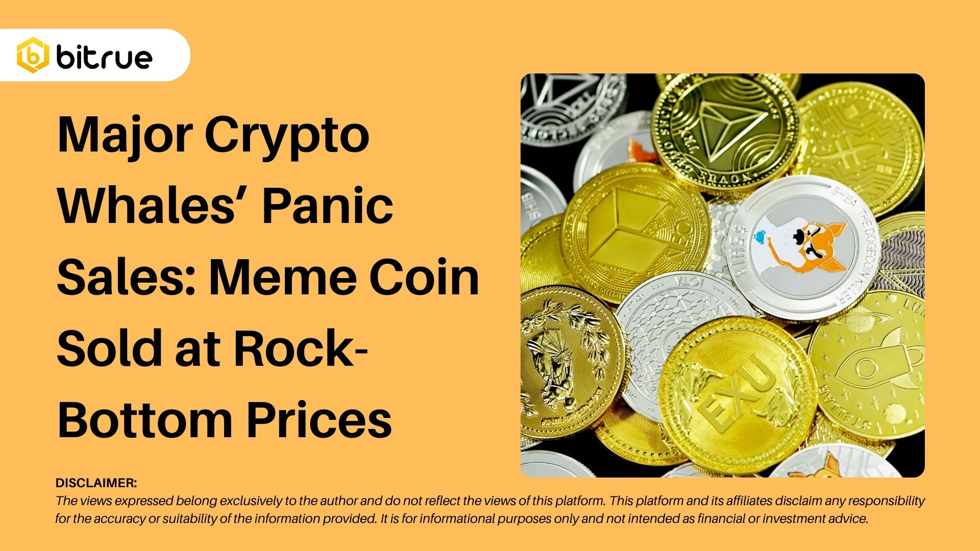 Major Crypto Whales’ Panic Sales: Meme Coin Sold at Rock-Bottom Prices ...