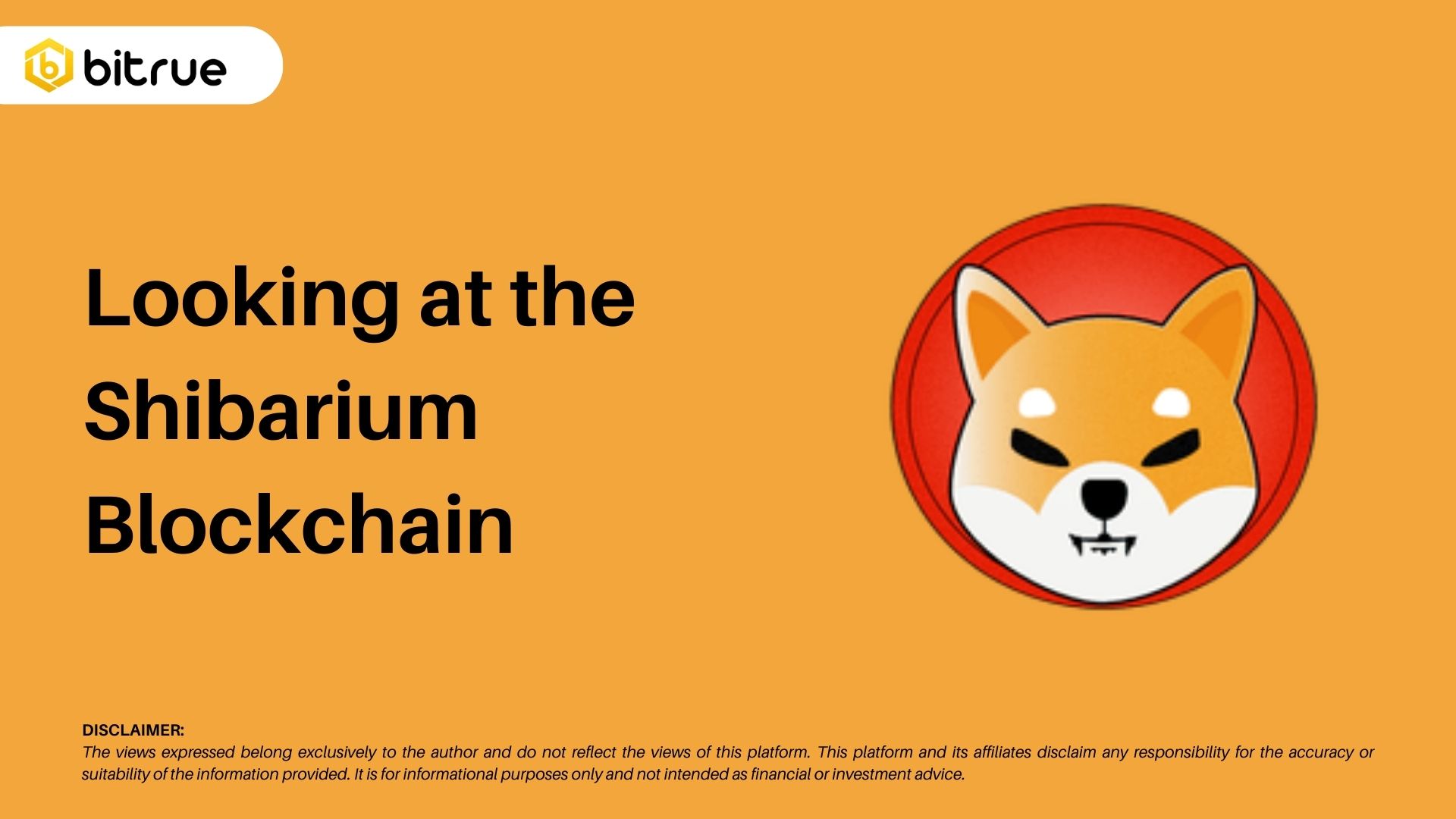 What is Shibarium Blockchain? – Bitrue FAQ
