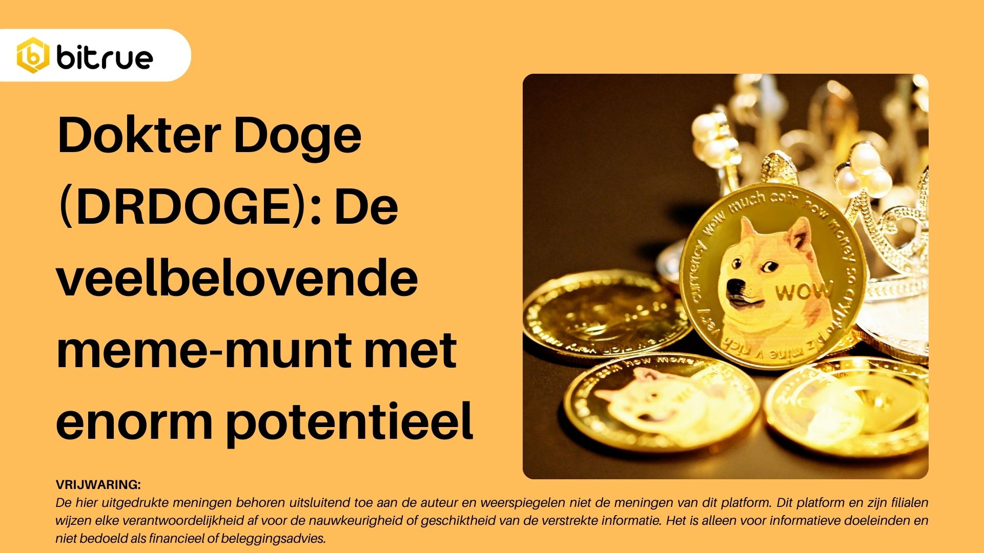Dokter Doge (DRDOGE): De veelbelovende meme-munt met enorm potentieel ...