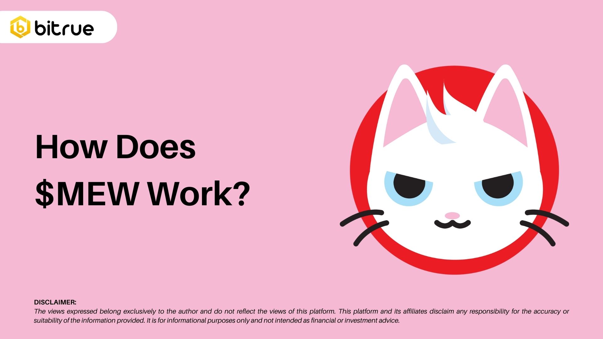 How Does $MEW Work as a Meme Token? – Bitrue FAQ