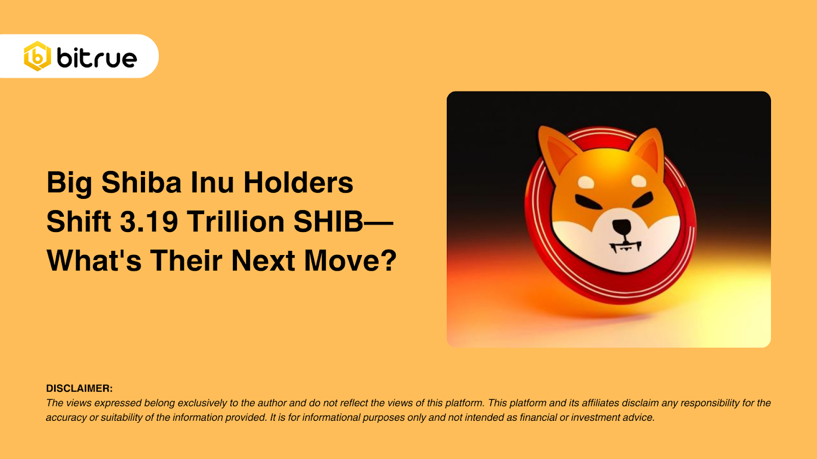 Big Shiba Inu Holders Shift 3.19 Trillion SHIB—What's Their Next Move? – Bitrue FAQ