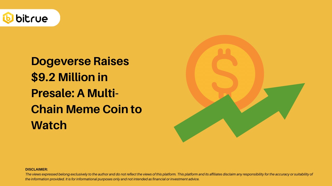 Dogeverse Raises $9.2 Million in Presale: A Multi-Chain Meme Coin to ...