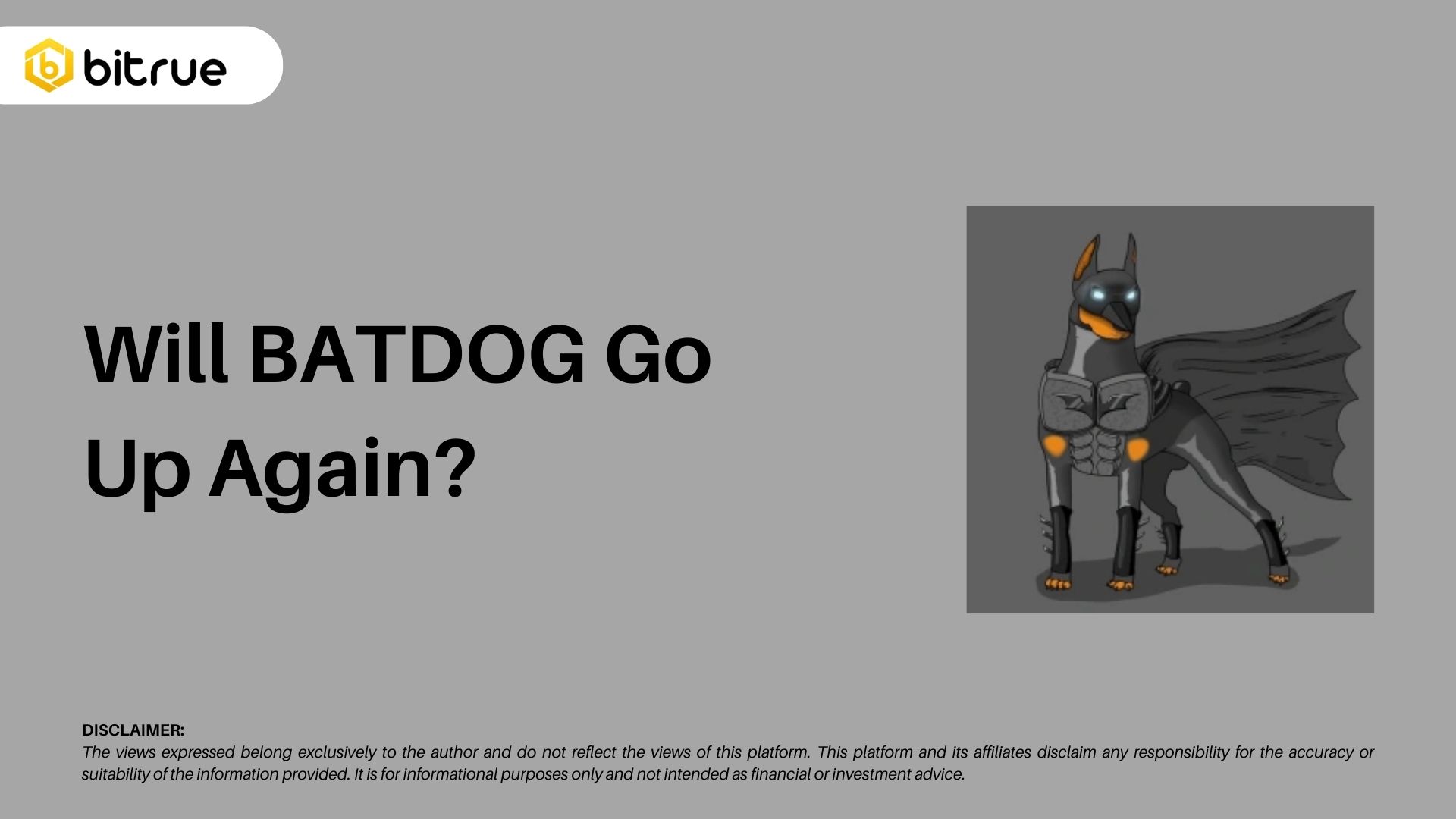 Will BATDOG GO Up Again? Looking at the Rugged-Accused Meme Token ...