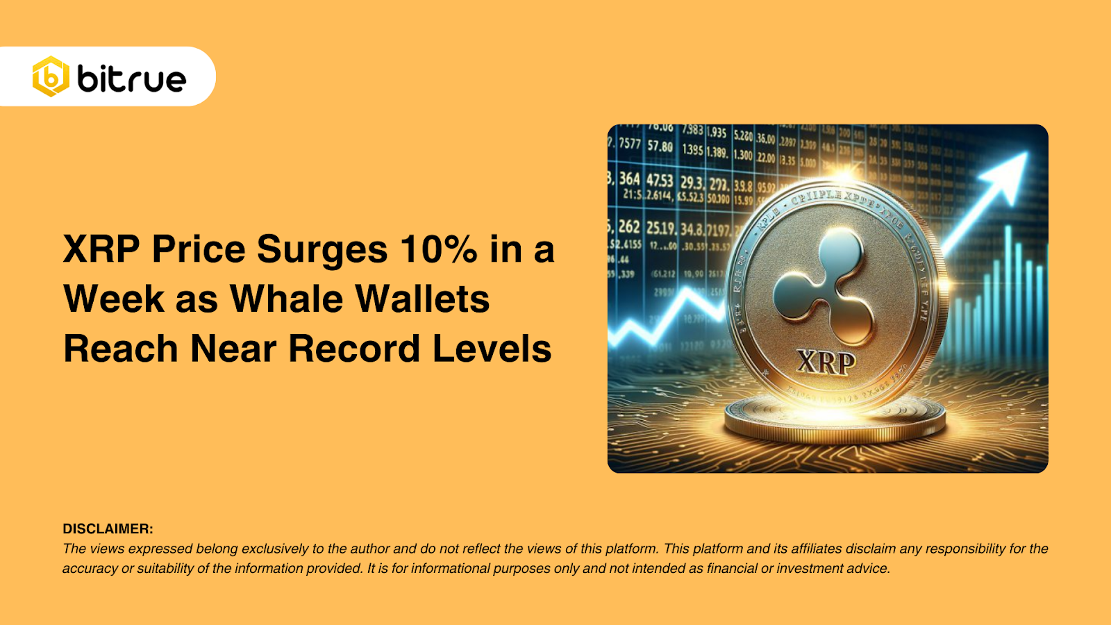 XRP Price Surges 10% in a Week as Whale Wallets Reach Near Record Levels – Bitrue FAQ