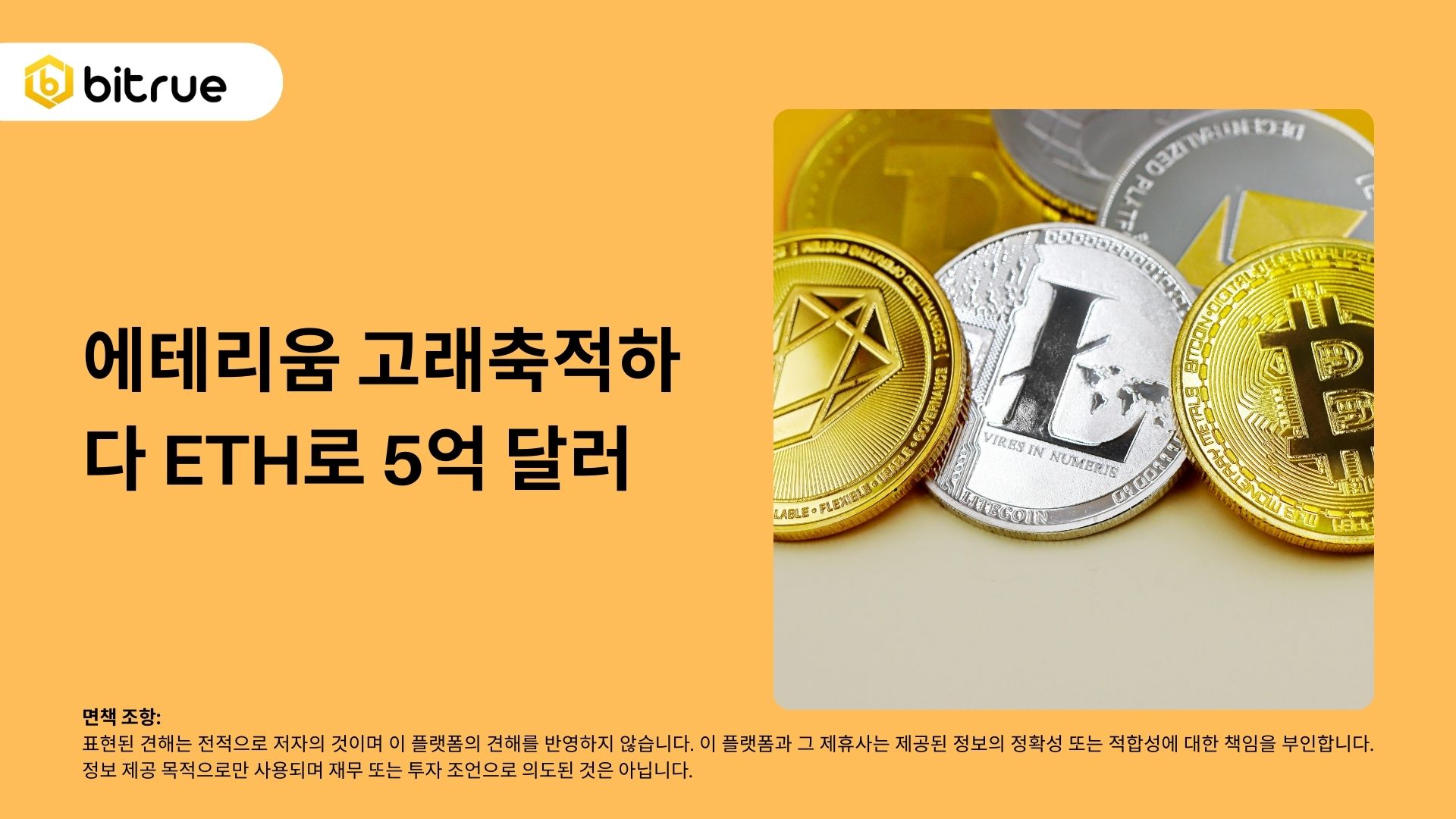 에테리움 고래축적하다 ETH로 5억 달러 – Bitrue FAQ
