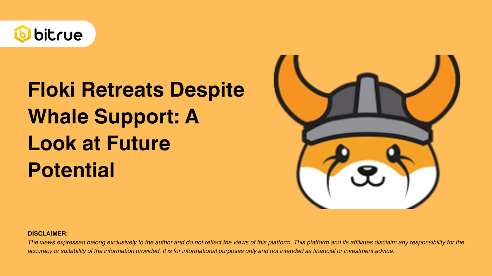 Floki’s Price DippedDespite Whale Support: A Look at Future Potential – Bitrue FAQ
