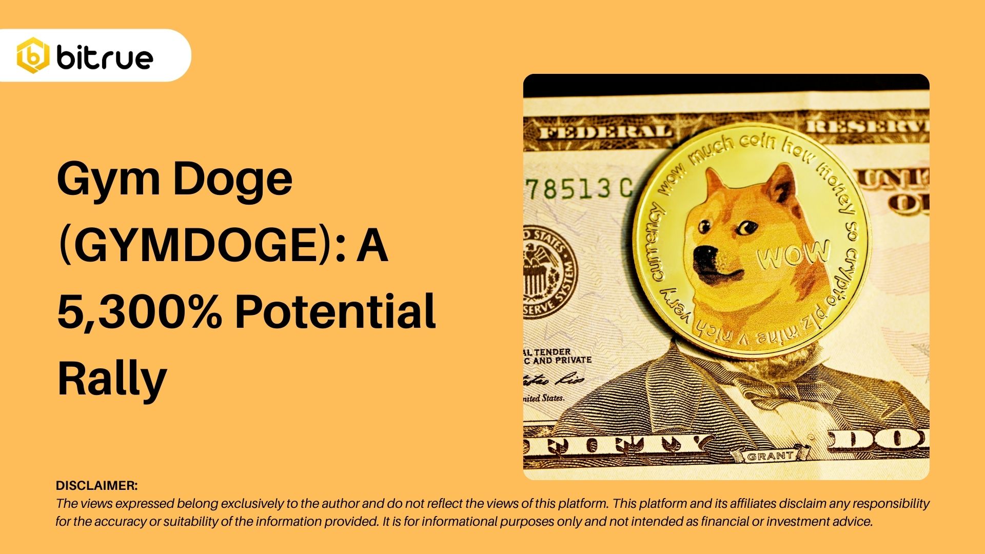 Gym Doge (GYMDOGE): A 5,300% Potential Rally – Bitrue FAQ