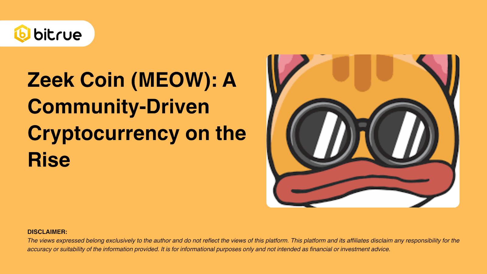 Zeek Coin (MEOW): A Community-Driven Cryptocurrency on the Rise ...