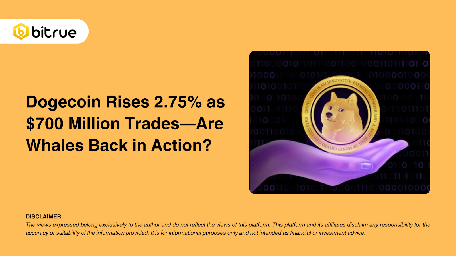 Dogecoin Rises 2.75% as $700 Million Trades—Are Whales Back in Action ...