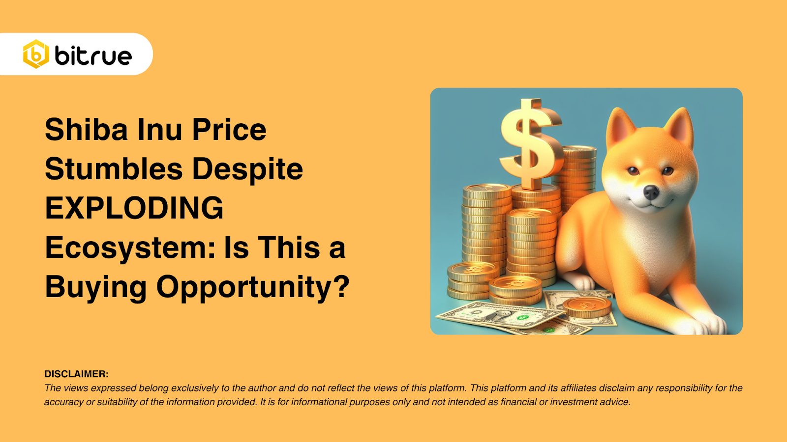 Shiba Inu Price Stumbles Despite Exploding Ecosystem: Is This a Buying ...