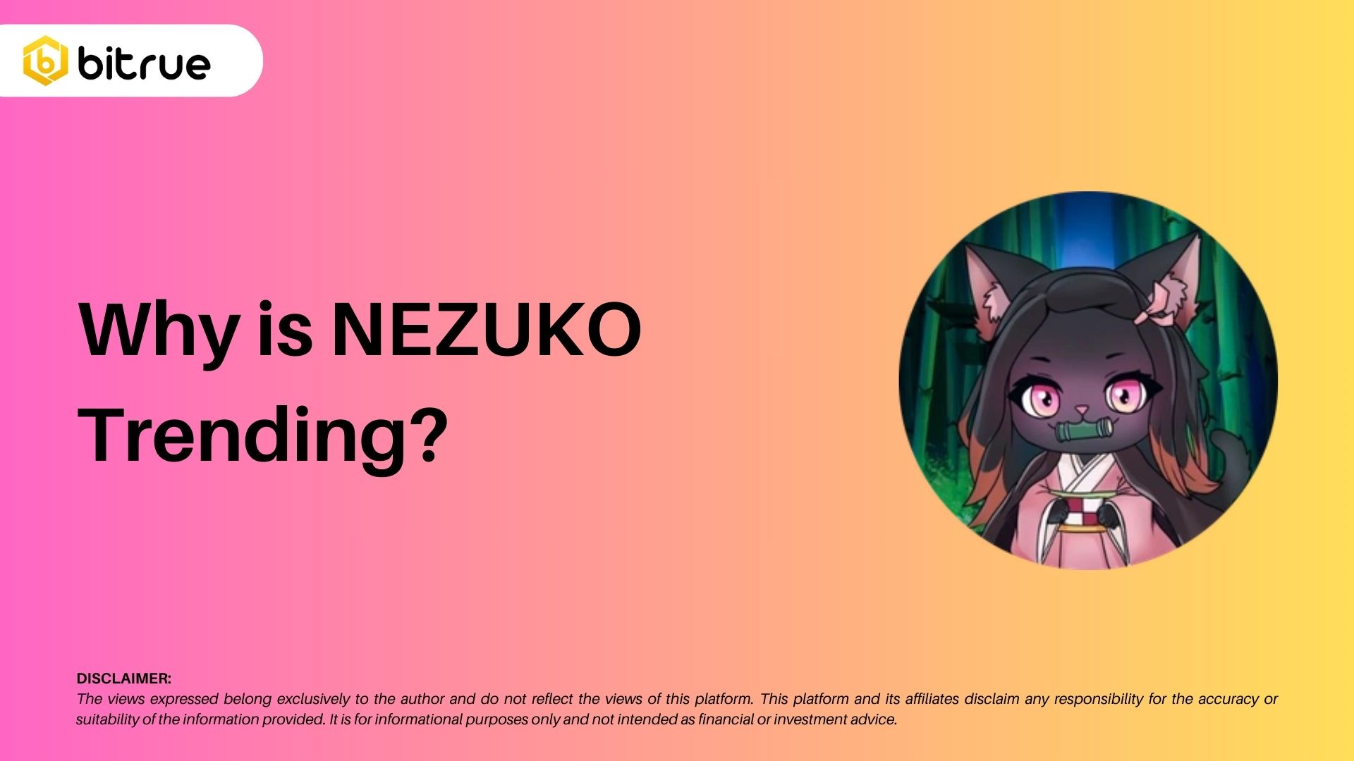 Why is Nezuko Cat Trending? Looking into the New Meme on Solana ...