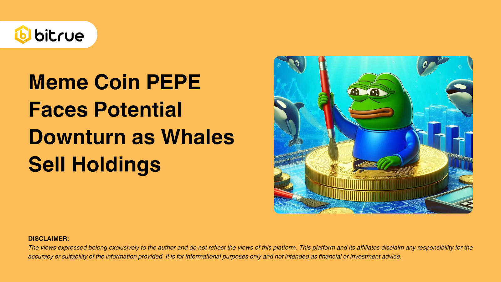 Meme Coin PEPE Gezichten Mogelijke Neergang als Walvissen Holdings ...
