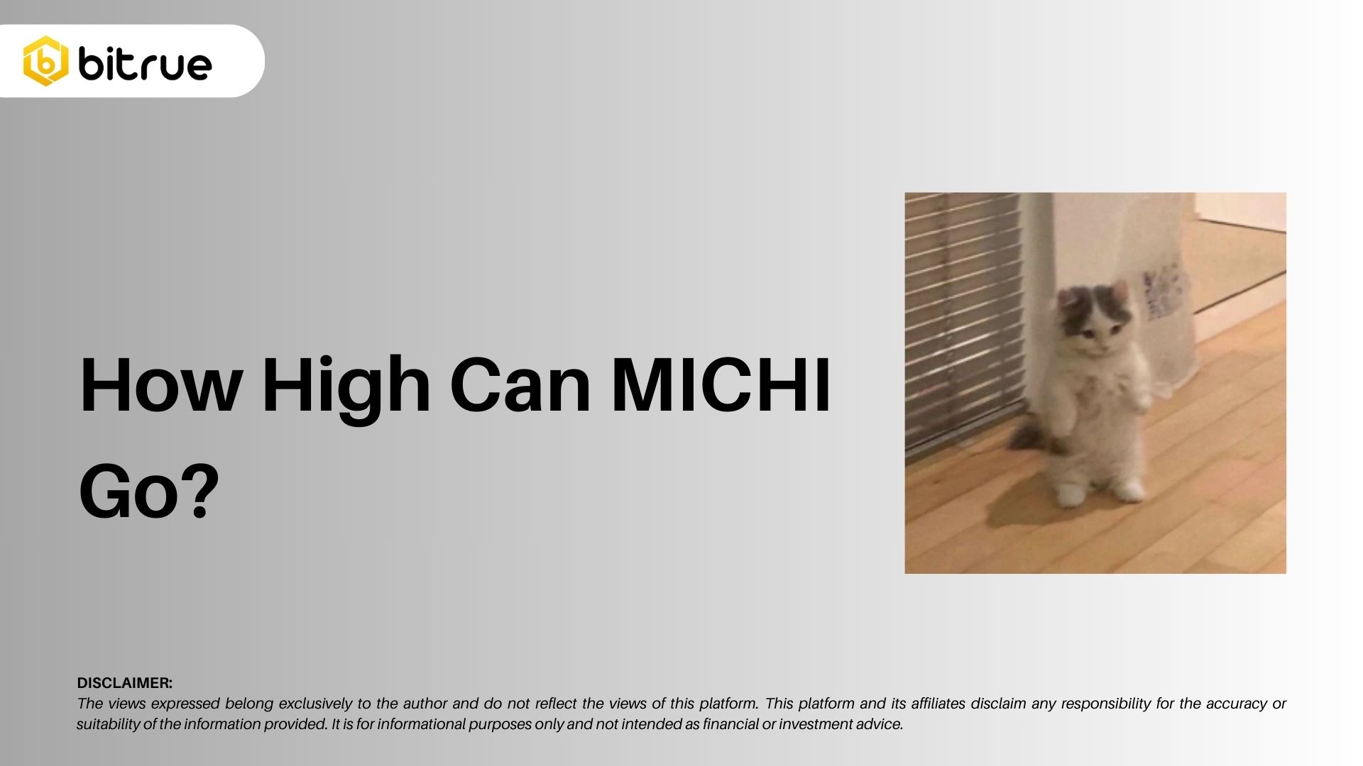 How High Can MICHI Go? – Bitrue FAQ