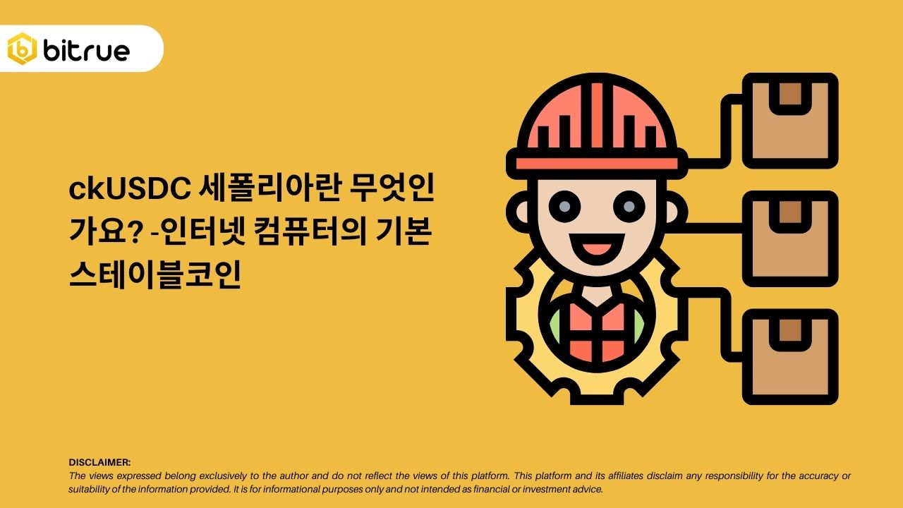 What is ckUSDC Sepolia? - A Native Stablecoin on the Internet Computer – Bitrue FAQ