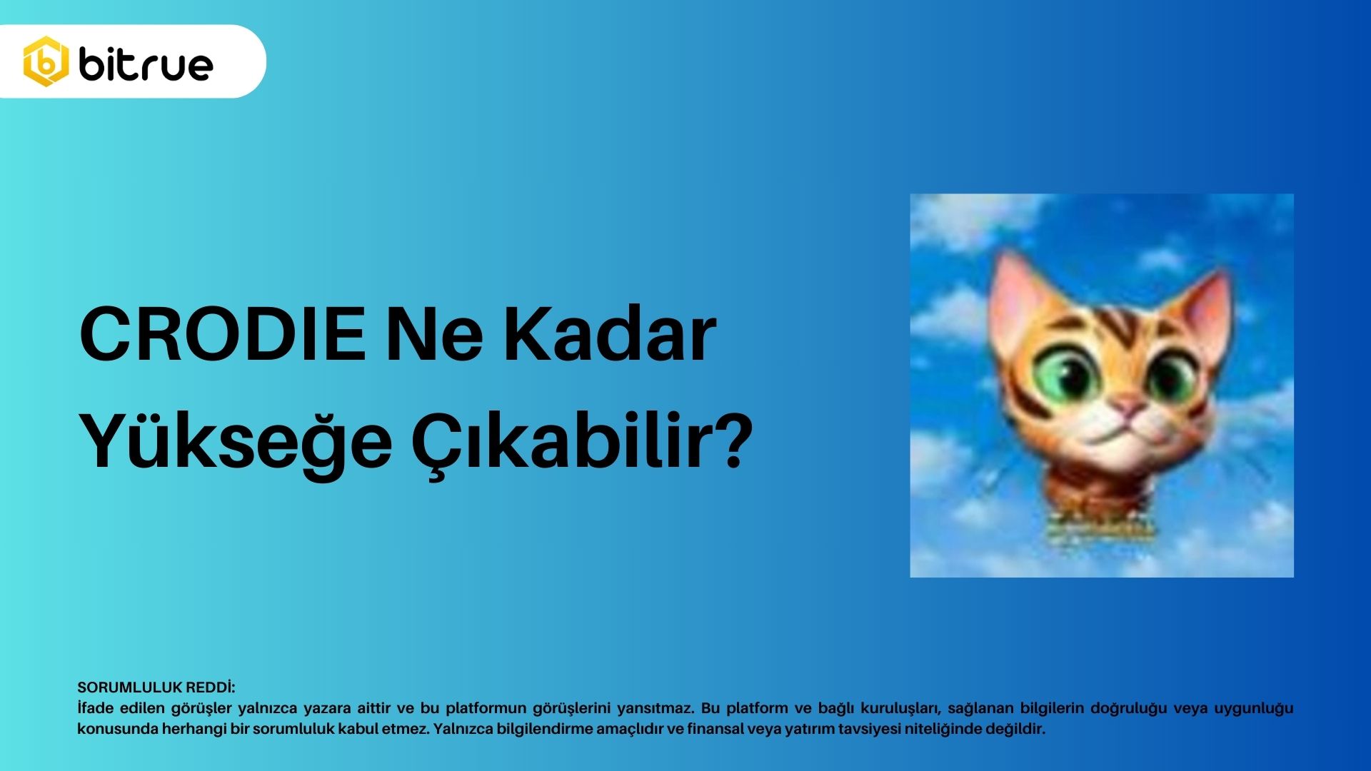 Solana'nın Yeni Meme Coin'i Crodie'nin Fiyat Analizi – Bitrue FAQ